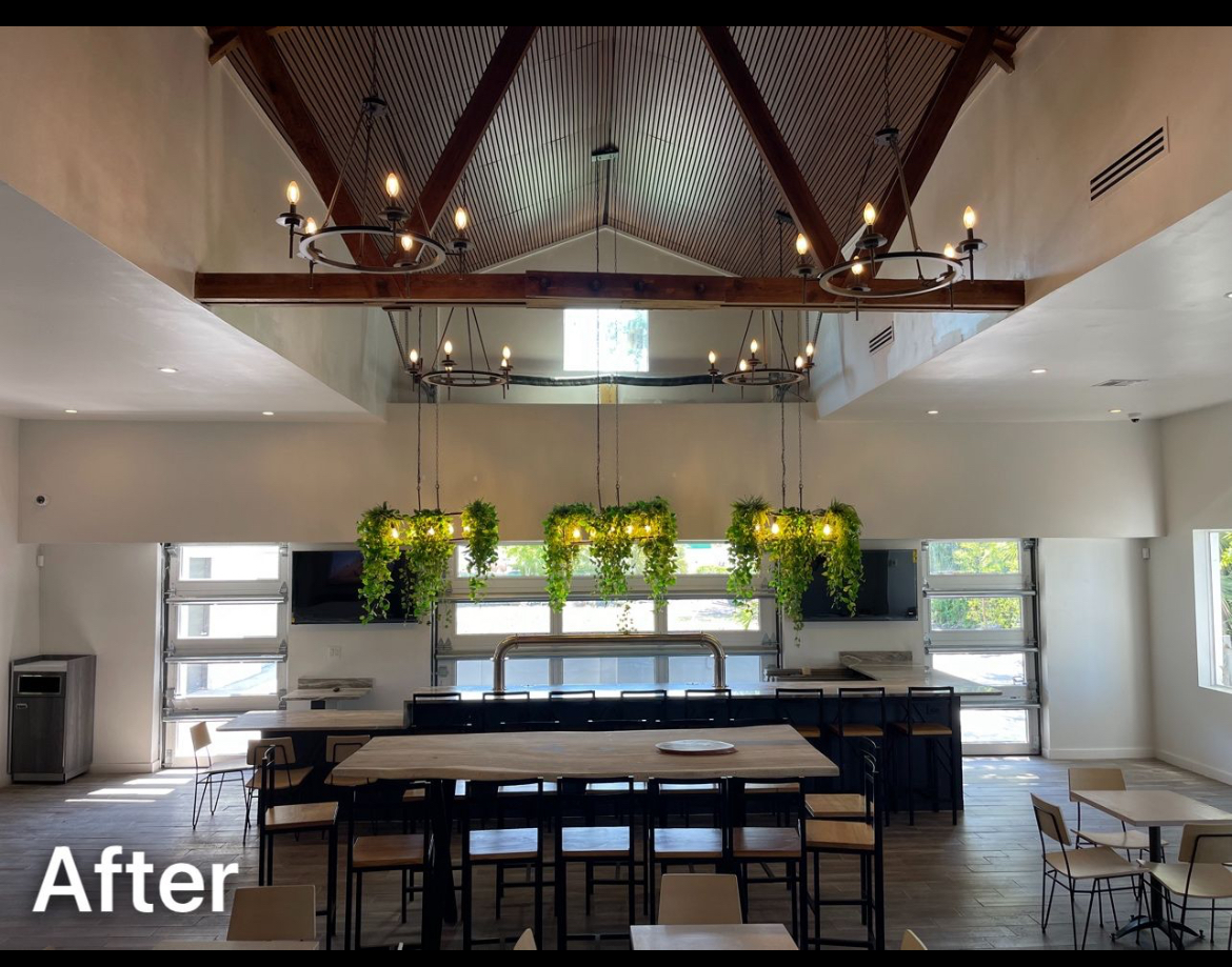 Home - Swamp Cat Brewing Co.