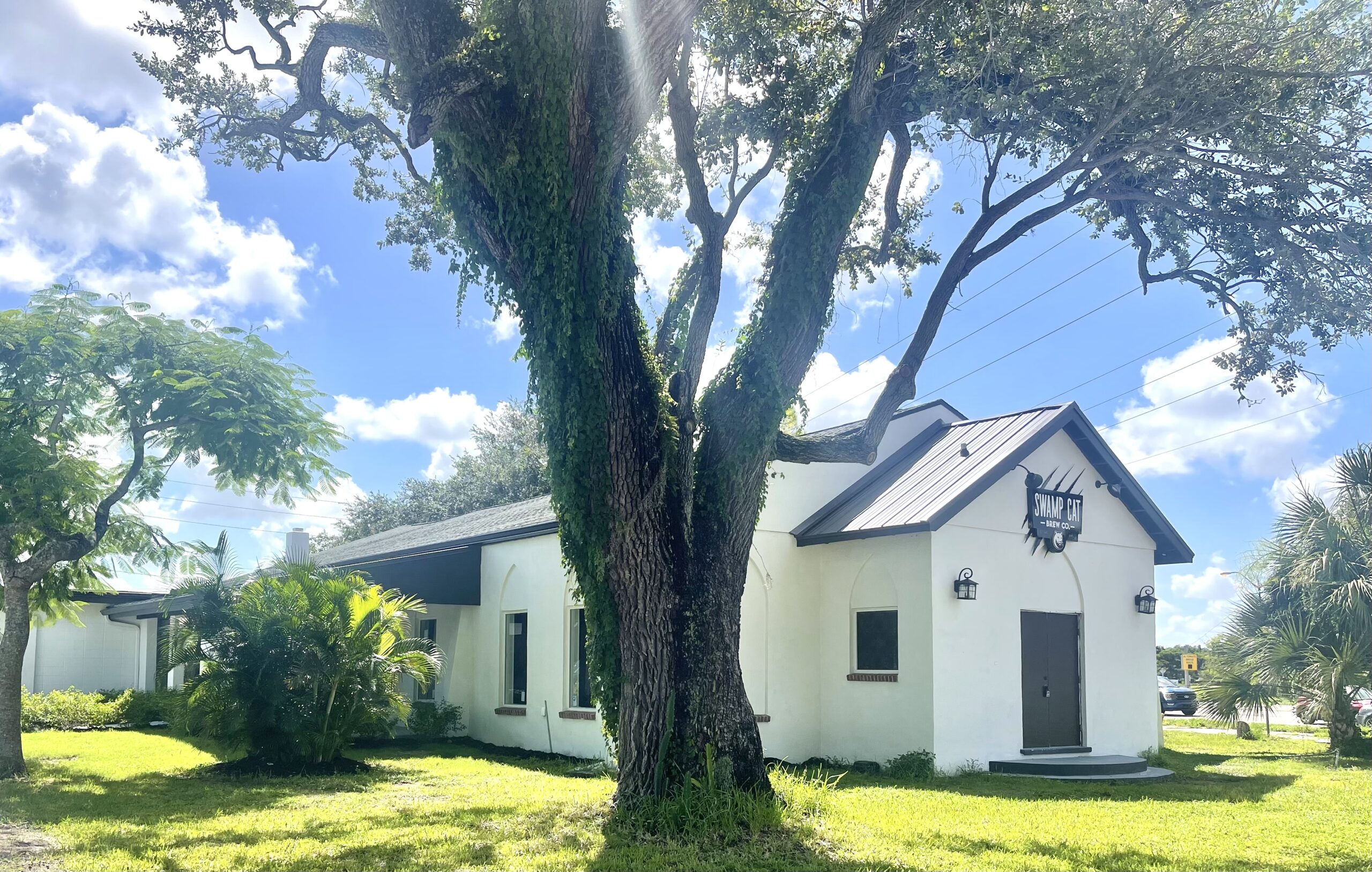 Home - Swamp Cat Brewing Co.